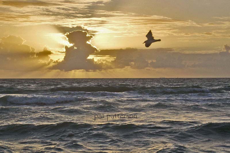 Places – Pat Patterson Creatives