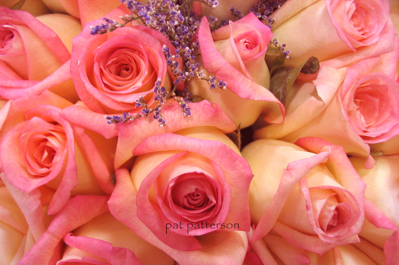 Florals – Pat Patterson Creatives