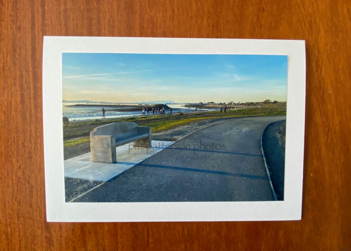 Bench – Pat Patterson Creatives