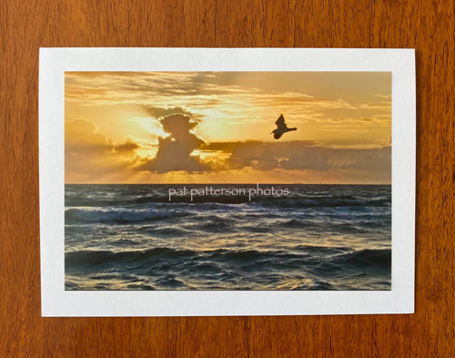 Miami Sunrise – Pat Patterson Creatives